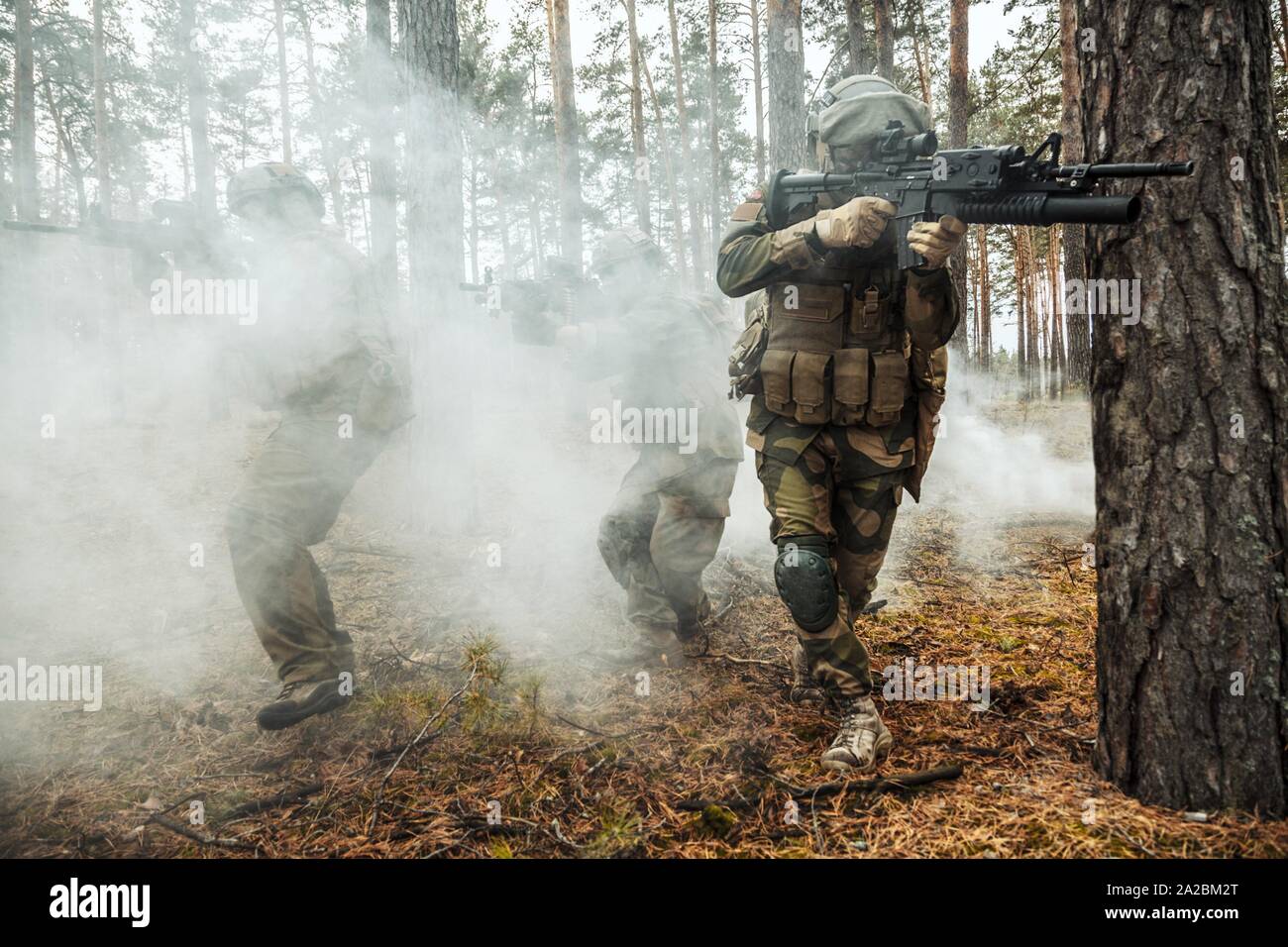 Field rapid firing gun hi-res stock photography and images - Alamy