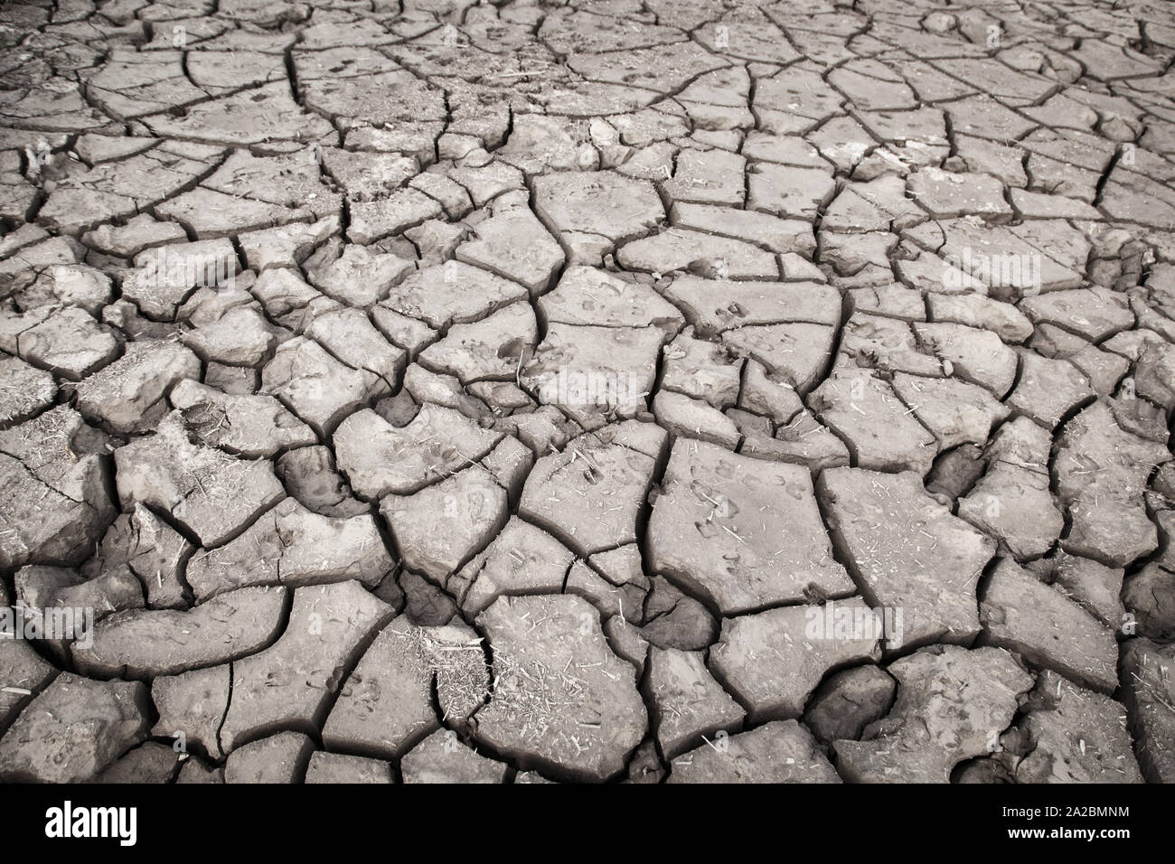 texture of dry cracked earth. Desert, concept of time of drought and ...