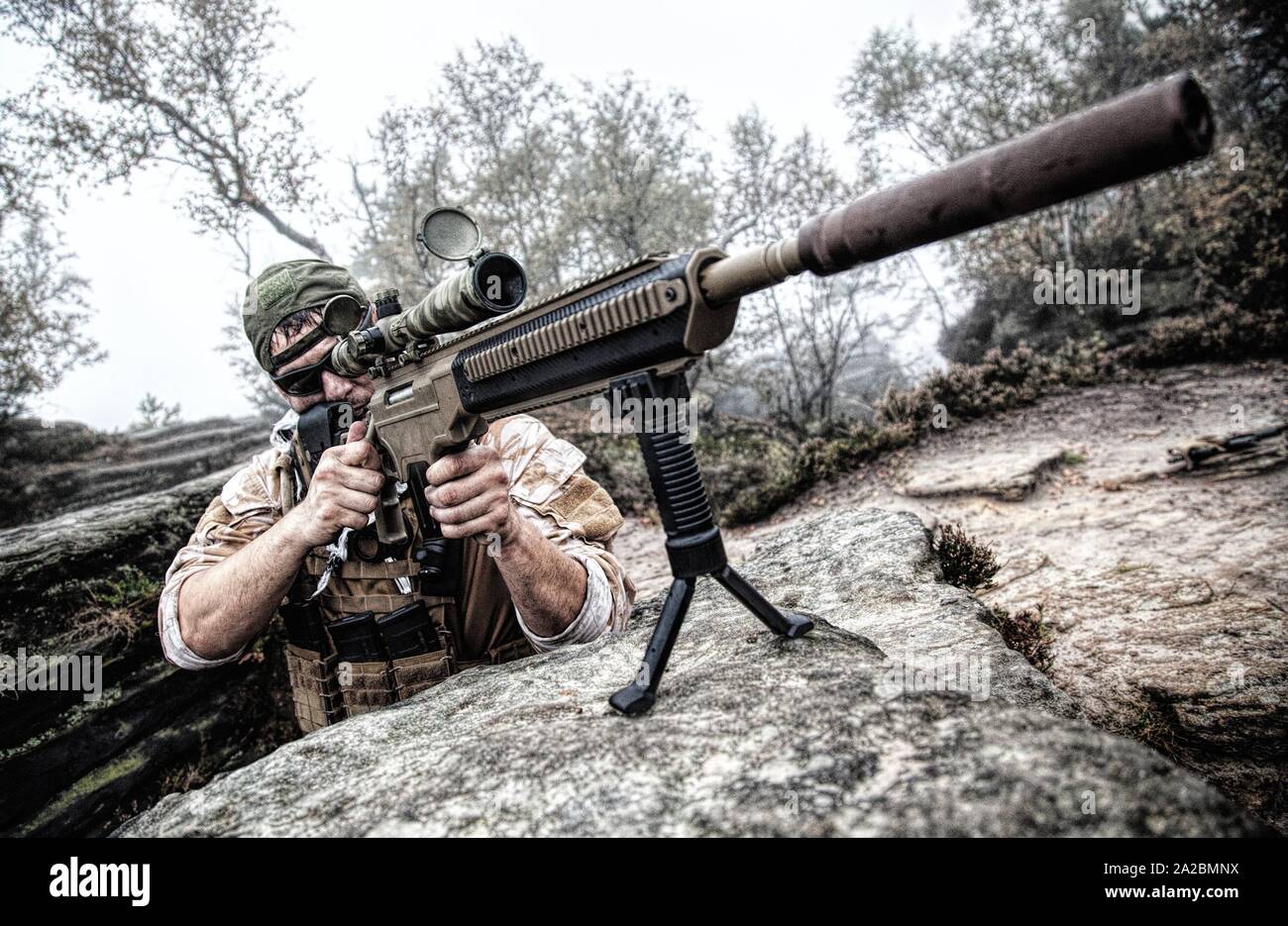 Military Assault Sniper Rifles