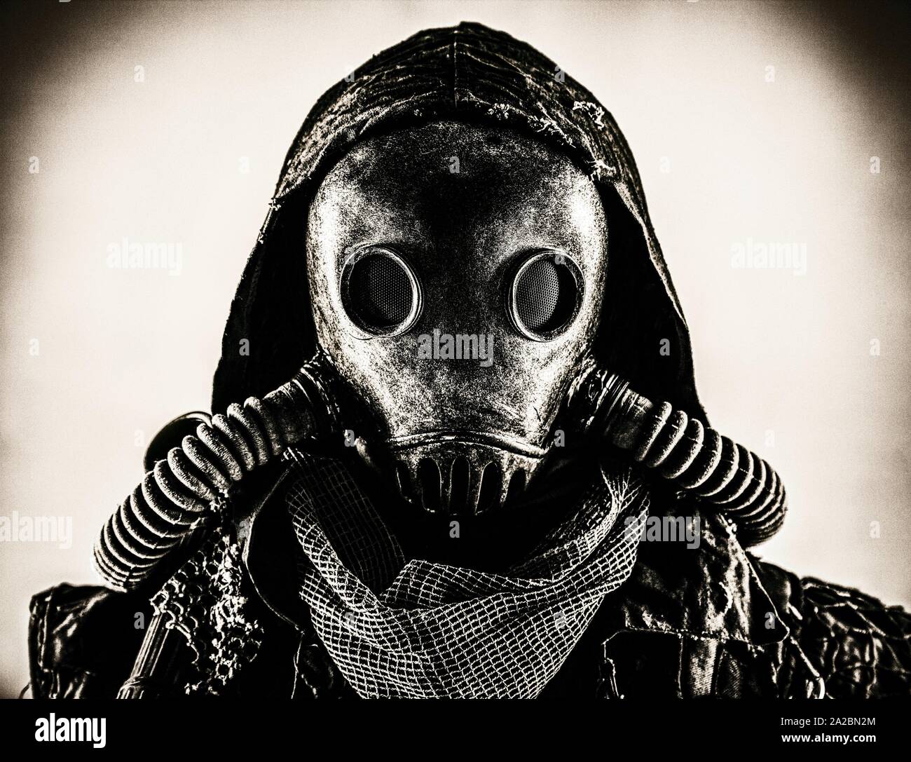 Animal wearing gas mask hi-res stock photography and images - Alamy