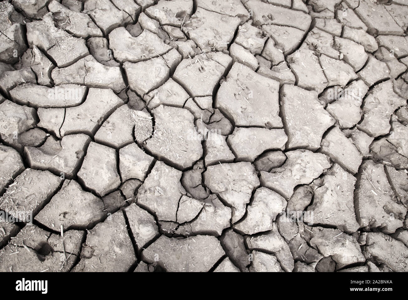 texture of dry cracked earth. Desert, concept of time of drought and ...