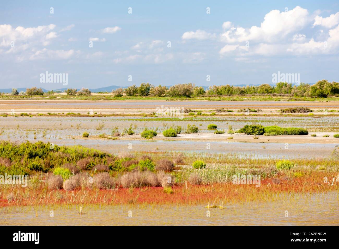 Camargue national park hi-res stock photography and images - Alamy
