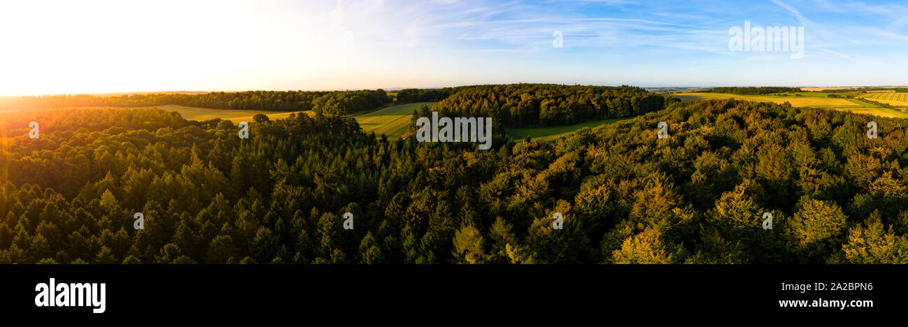 Autumn view golden forest hi-res stock photography and images - Alamy
