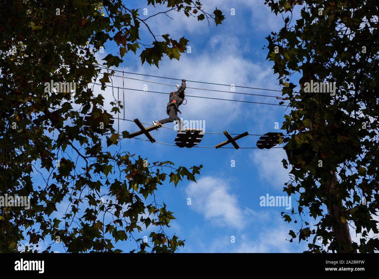 Go Ape High Resolution Stock Photography and Images - Alamy