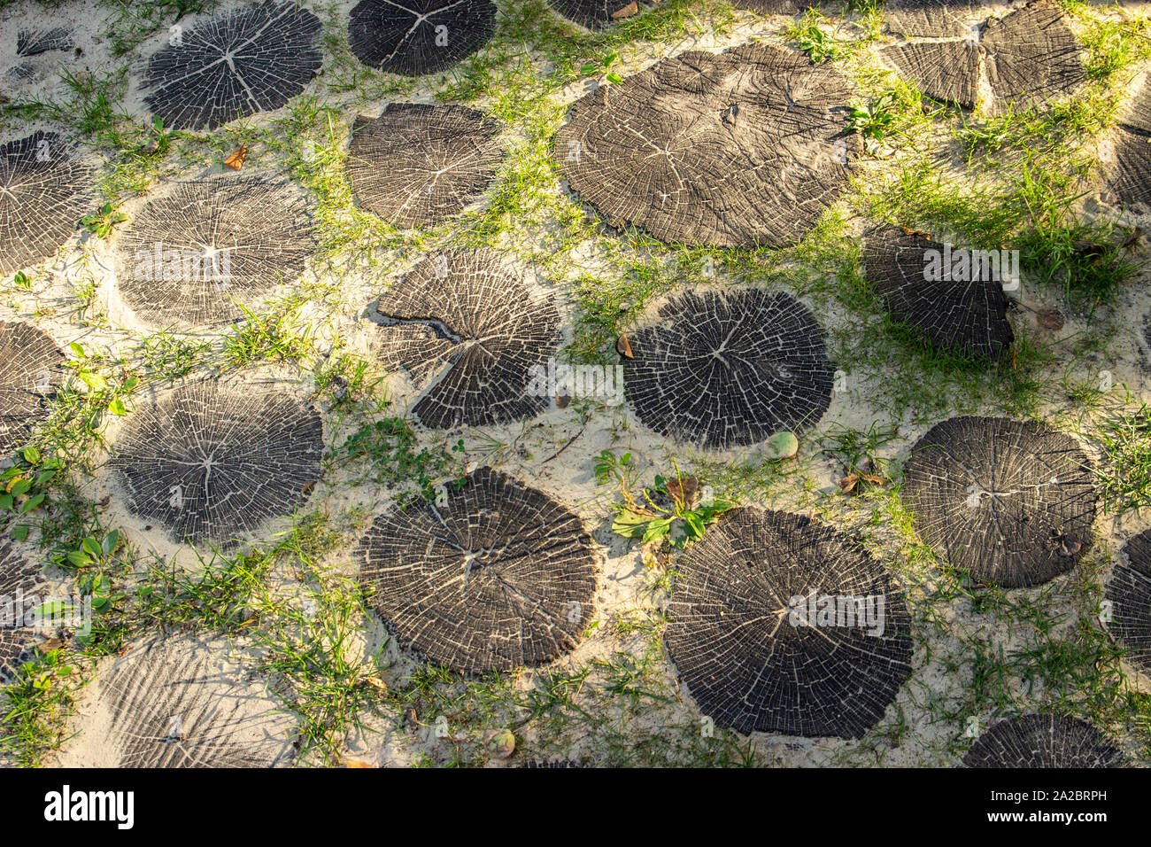 A wooden board track from black cut stub. Background for eco products ...