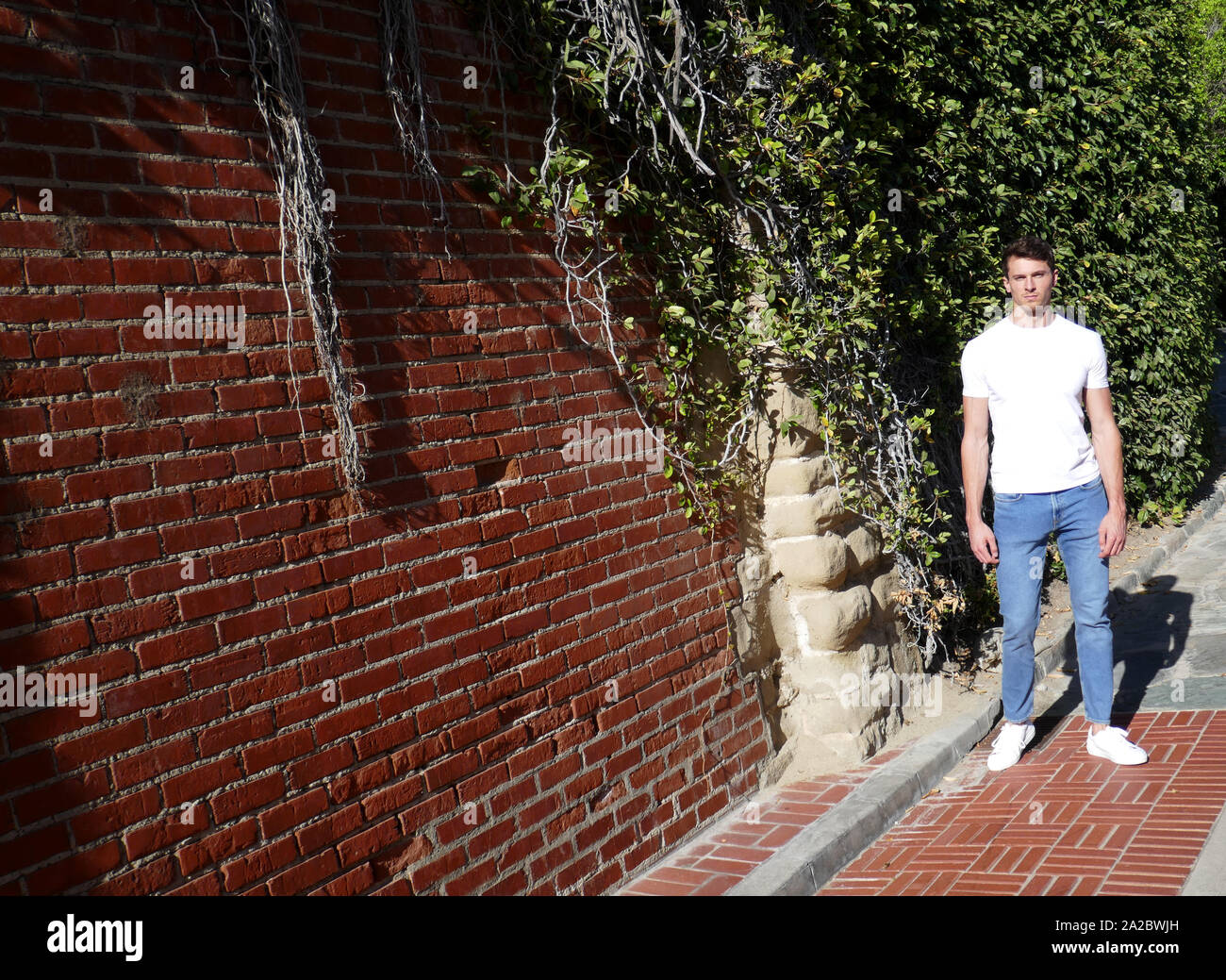 Los Angeles, California, USA 1st October 2019 (Exclusive) Reality ...