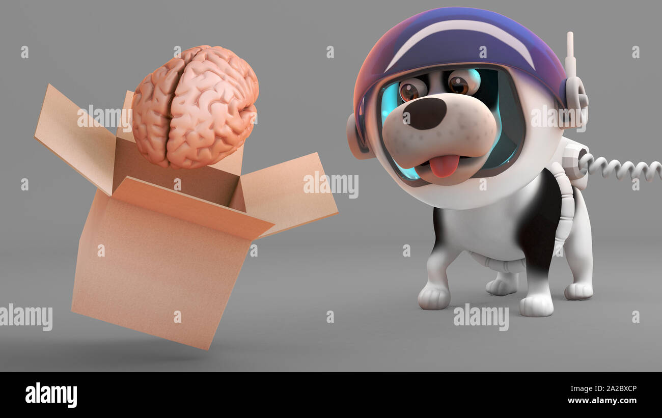 Brain Cartoon Character Dog