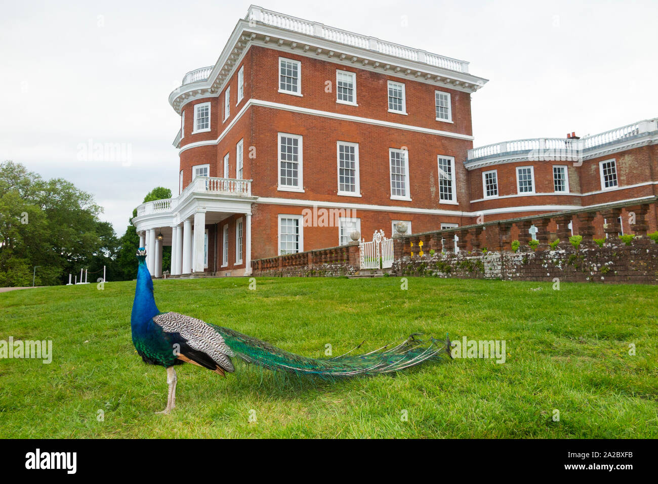 Bicton hi-res stock photography and images - Alamy