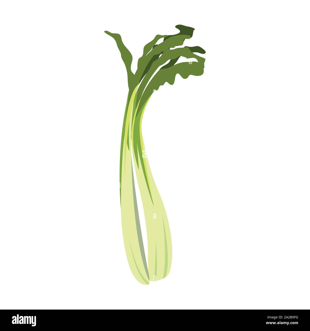 celery design, Vegetable organic food healthy fresh natural and market ...