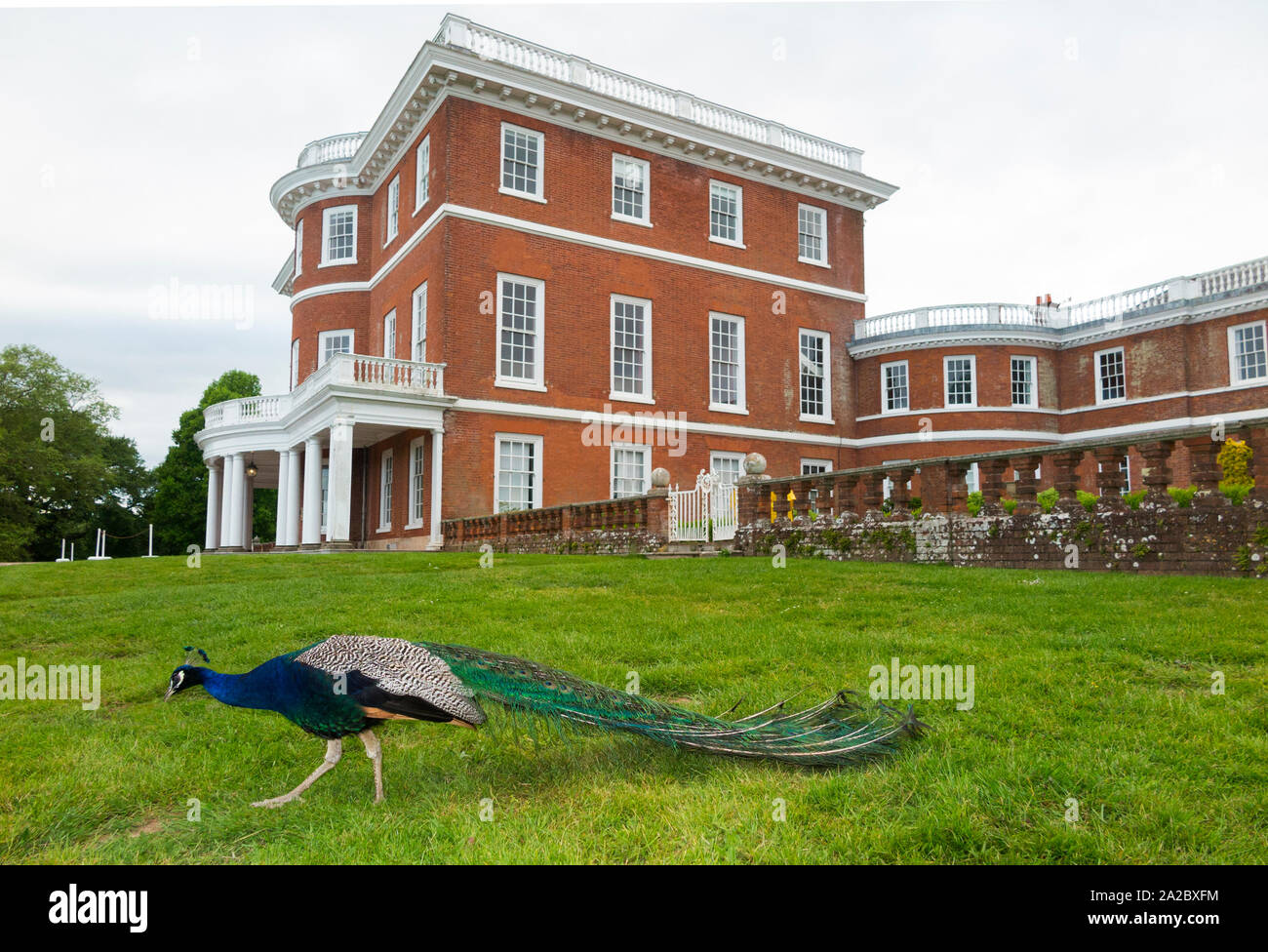 Bicton College main building, with peacock. Bicton House (Georgian ...