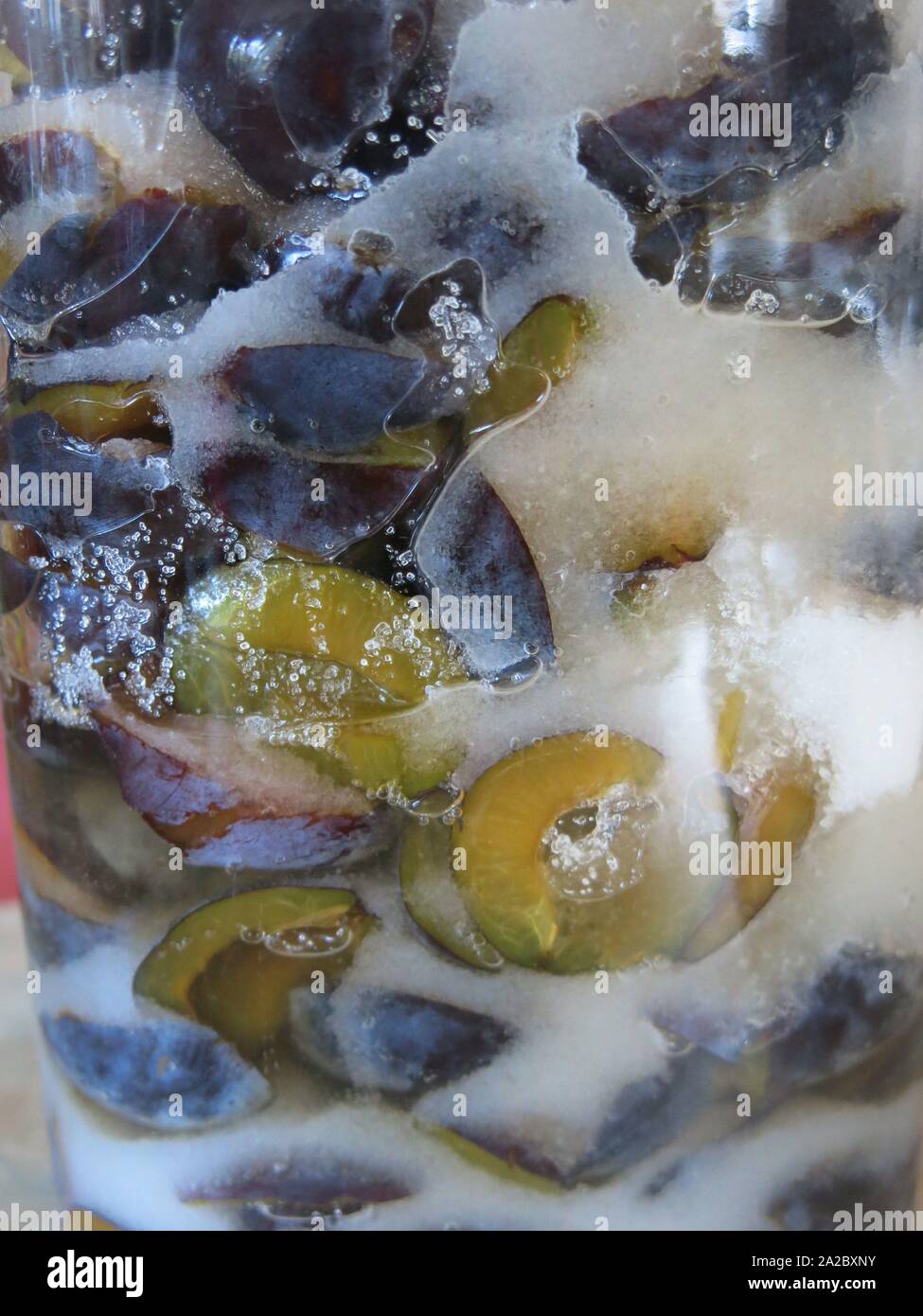 Close-up of the purple skins and yellow flesh of halved damsons layered ...