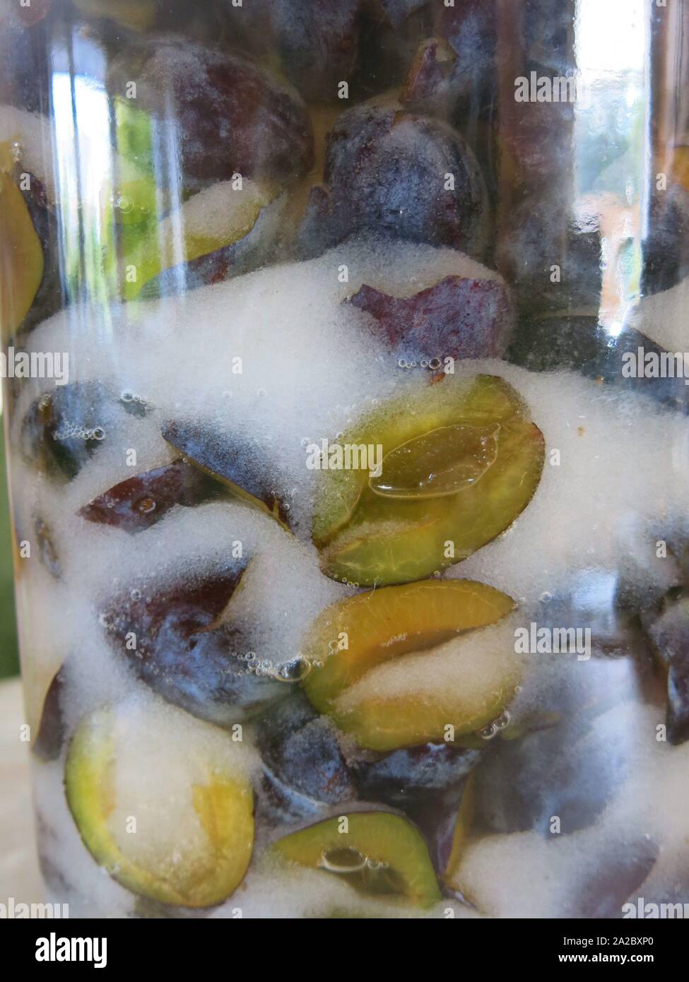 Close-up of the purple skins and yellow flesh of halved damsons layered ...