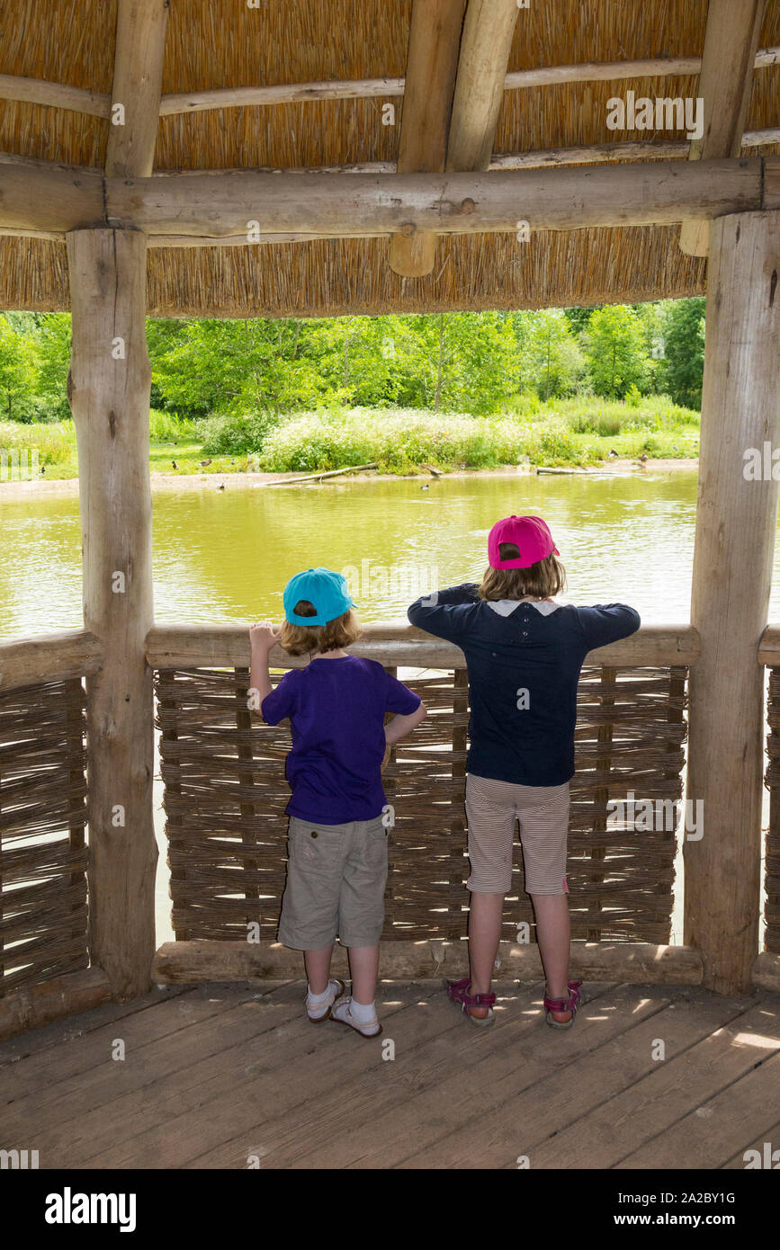 Observation hide hi-res stock photography and images - Alamy
