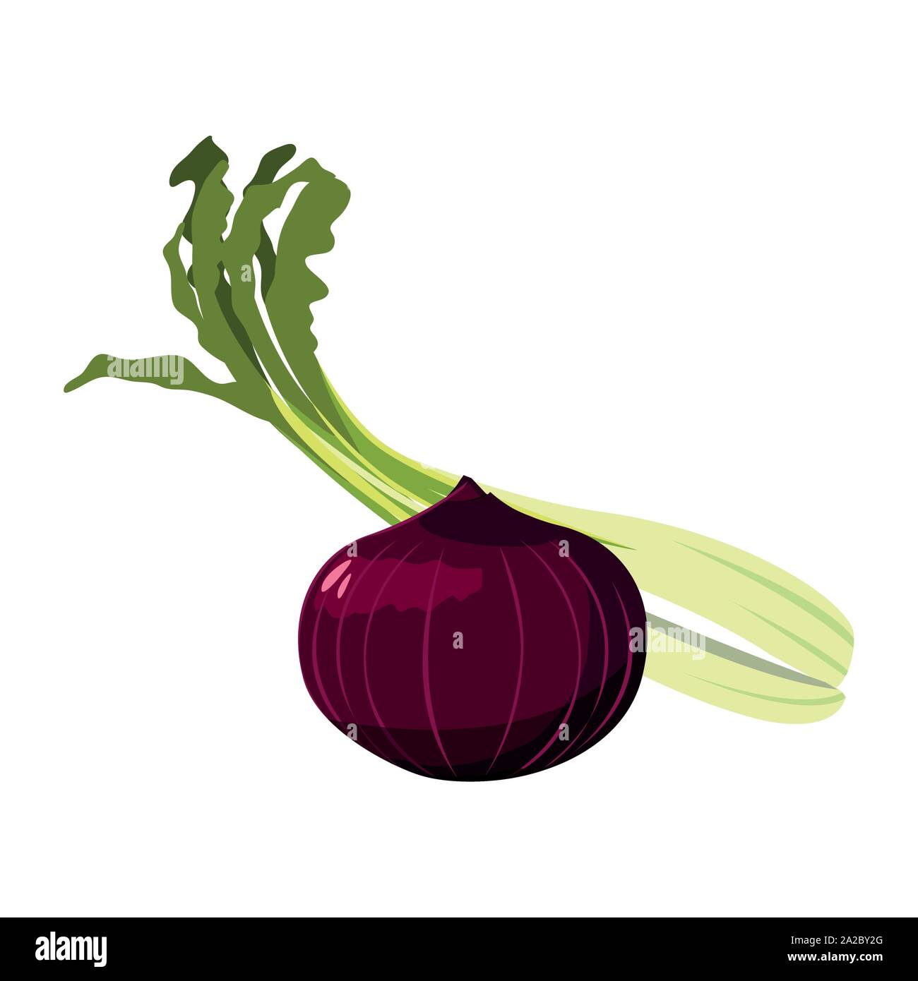 onion and celery design, Vegetable organic food healthy fresh natural ...