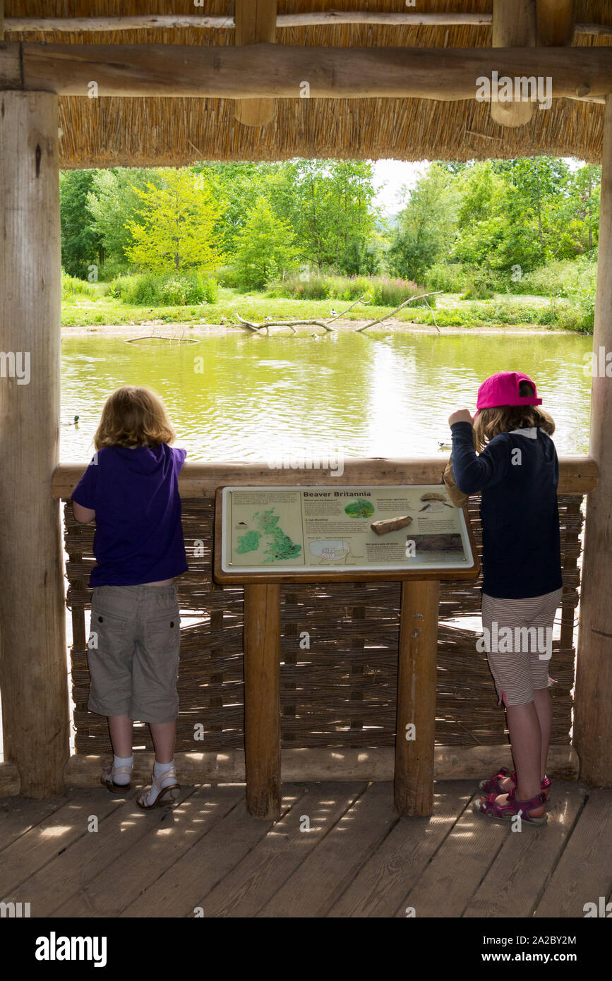 Bird hide interior uk hi-res stock photography and images - Alamy