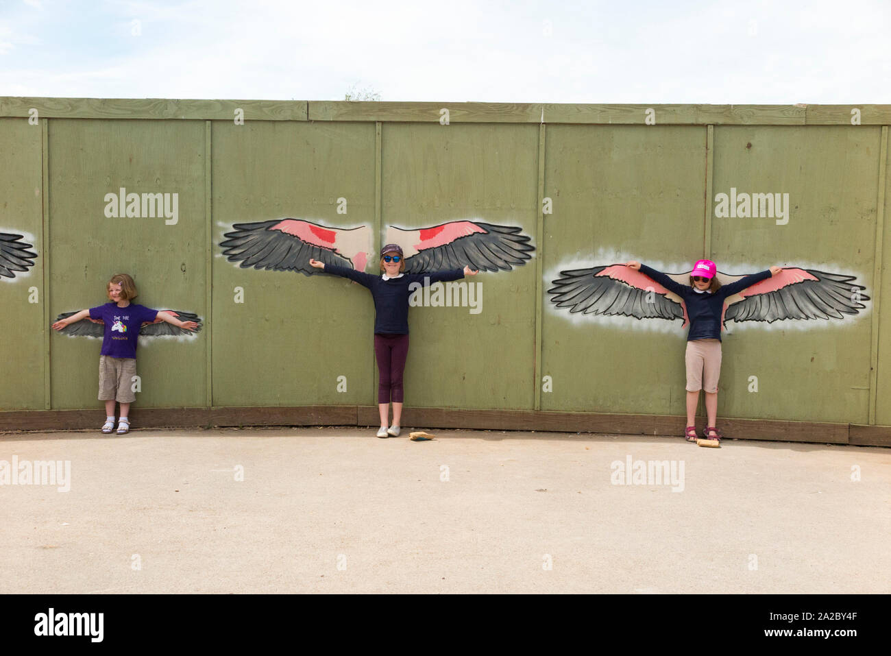 Bird wing span uk hi-res stock photography and images - Alamy