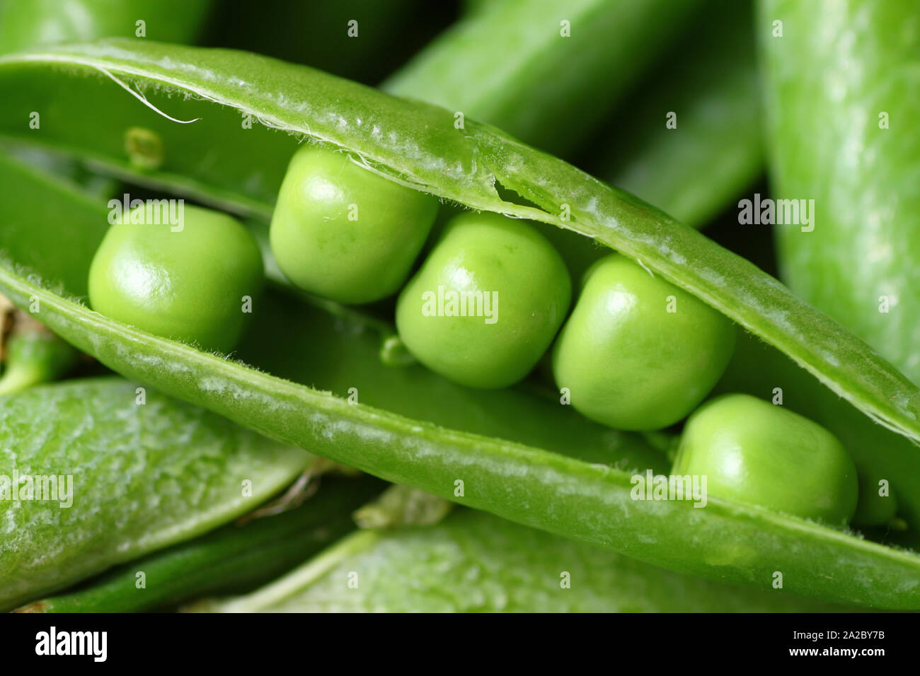 Agriculture picture hi-res stock photography and images - Alamy