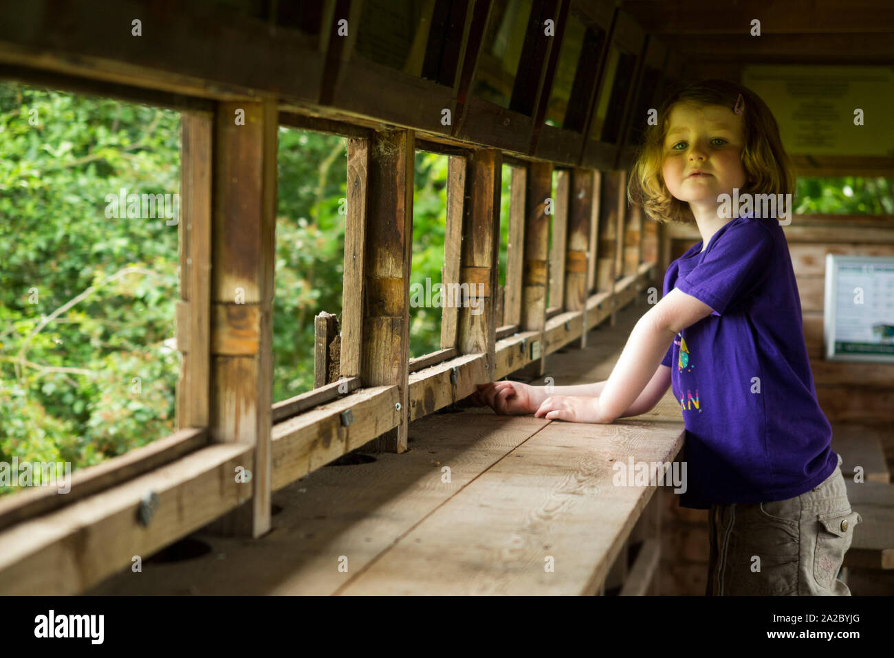 Observation of young children hi-res stock photography and images - Alamy