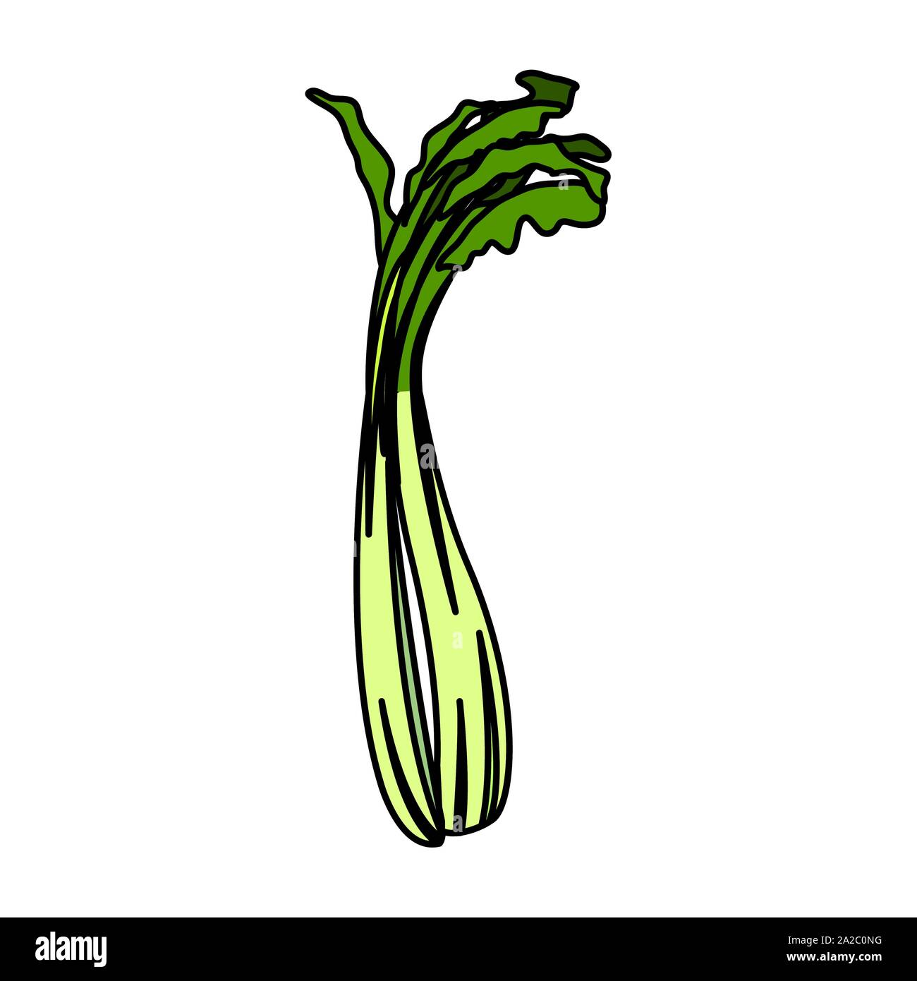 celery design, Vegetable organic food healthy fresh natural and market ...