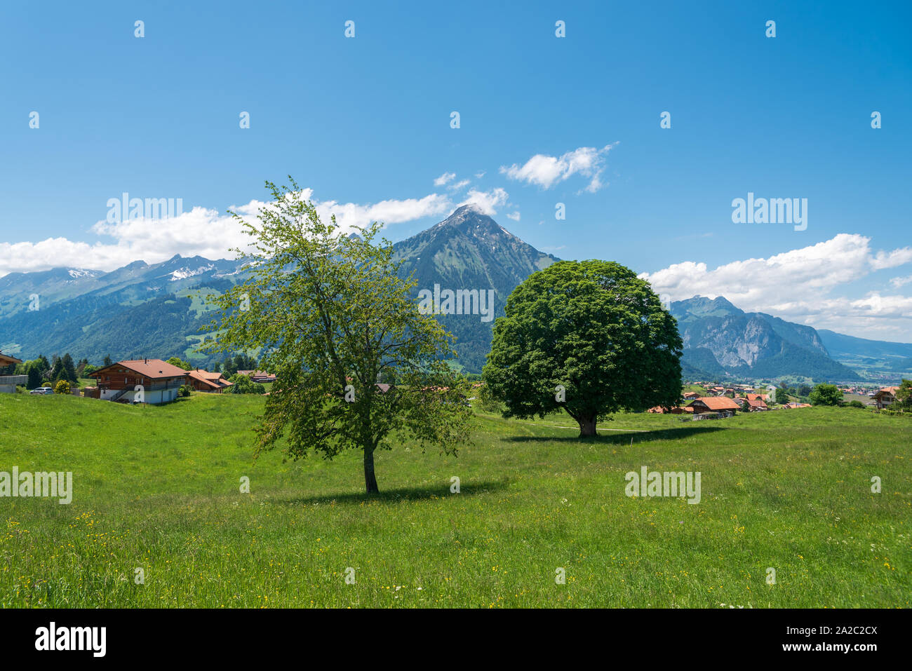 Landscape with Mount Niesen, Aeschi bei Spiez, Bernese Oberland ...