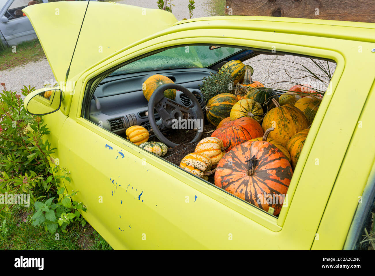 Tree growing through old car hi-res stock photography and images - Alamy