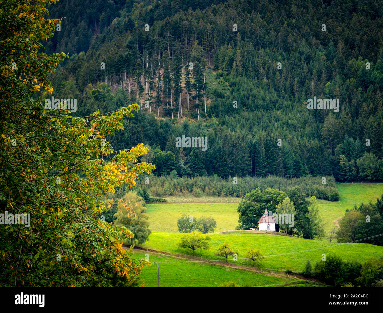 An small isolated chapel or church in the trees on a mountain in the ...