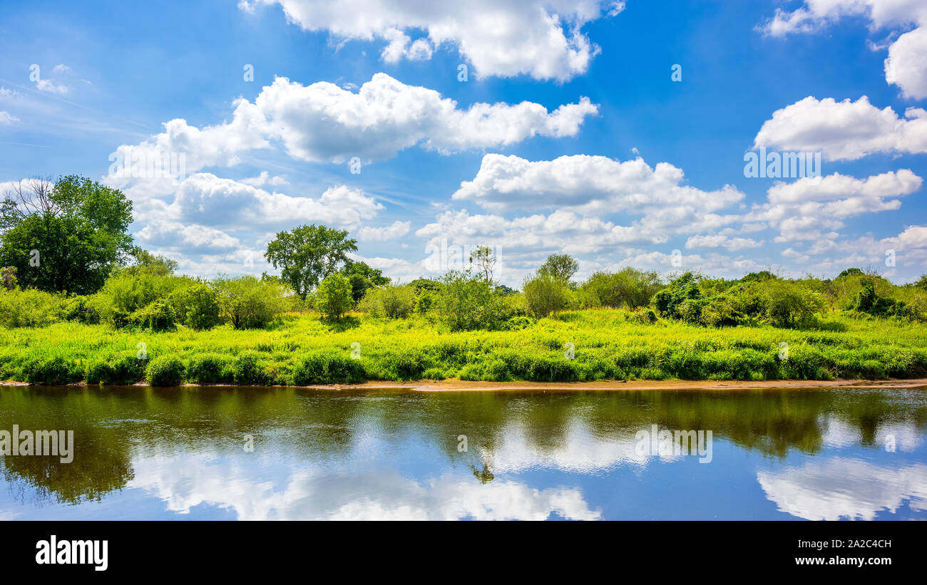 Summer landscape with river and trees Stock Photo - Alamy