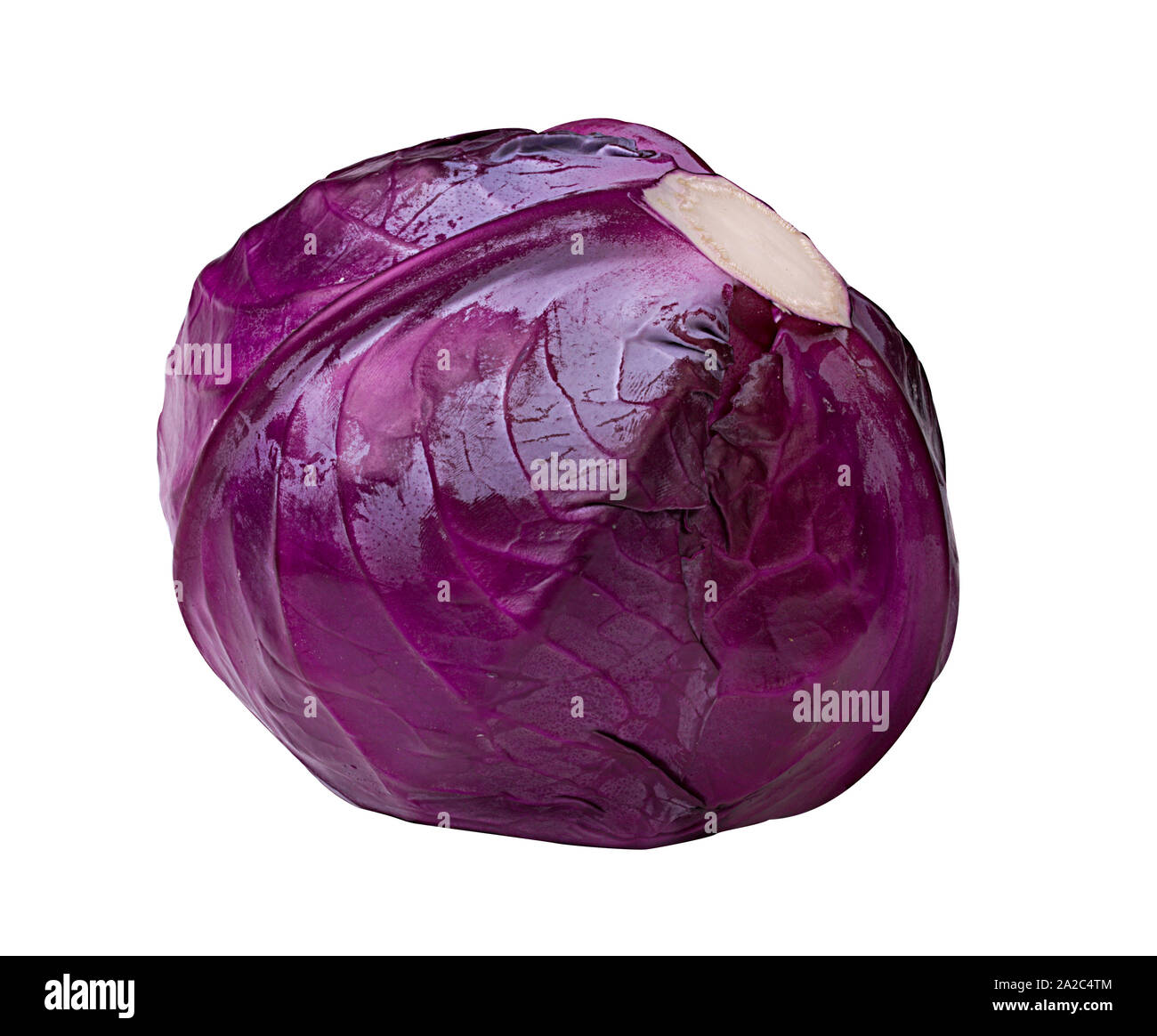 Red cabbage isolated on white background Stock Photo - Alamy