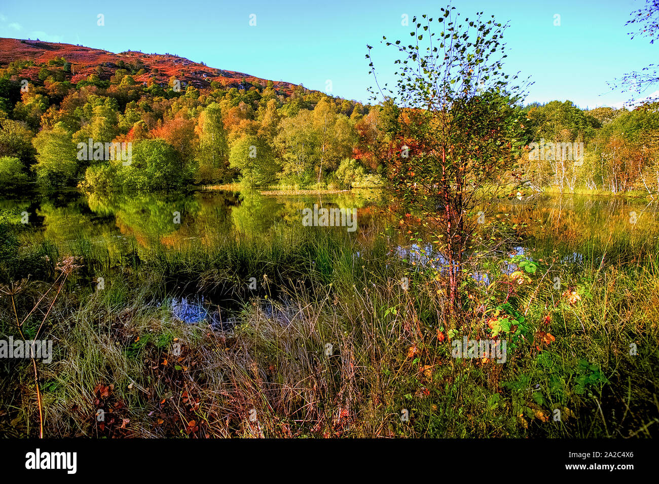 Little Loch, Aberfoyle, Duke pass in warm fall with vivid reflections ...