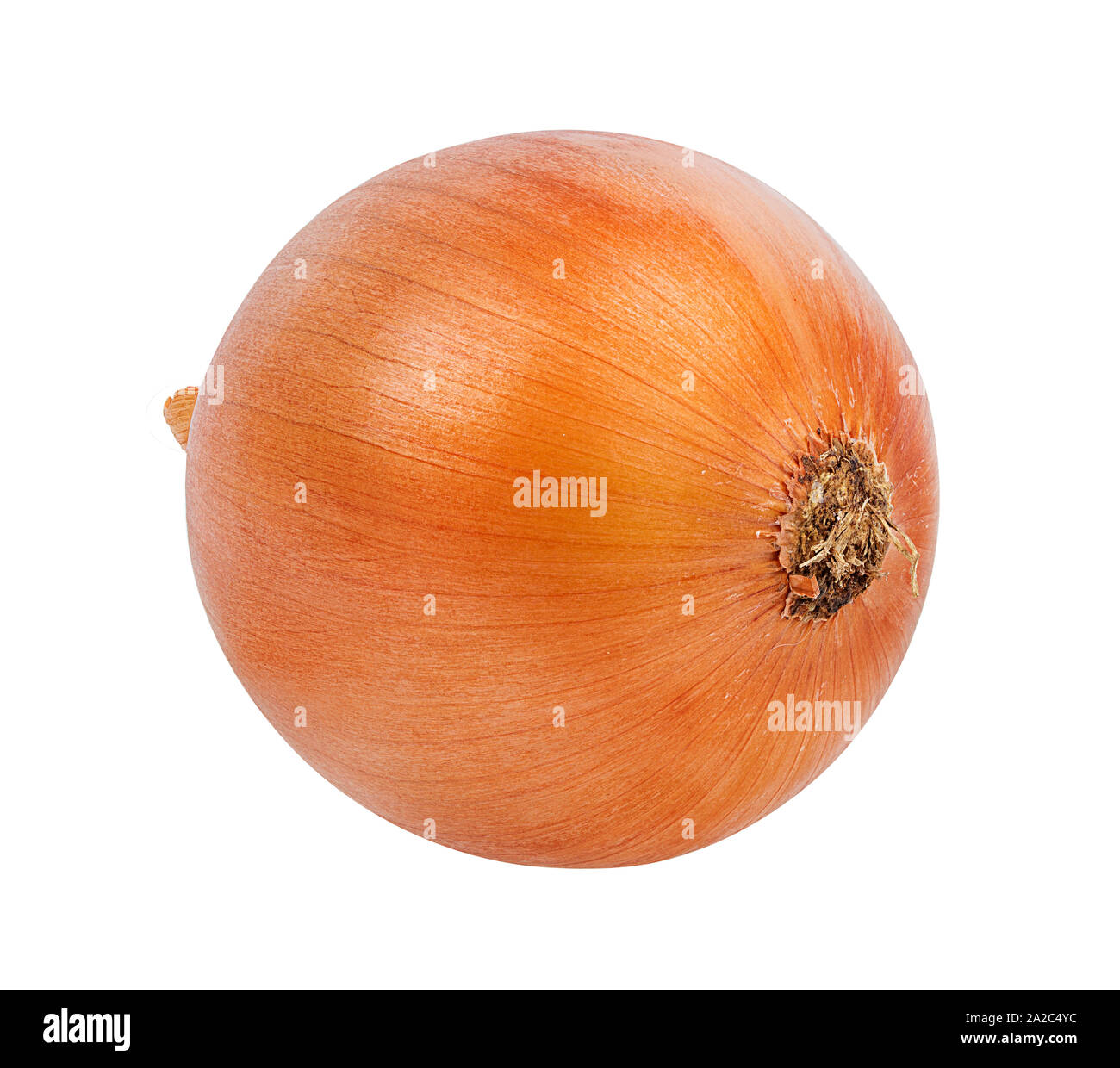 Onions isolated on white background Stock Photo - Alamy