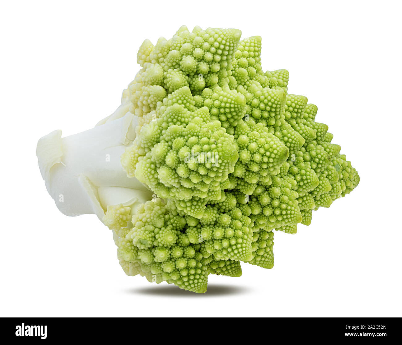 Roman cauliflower isolated on white background with clipping path Stock ...