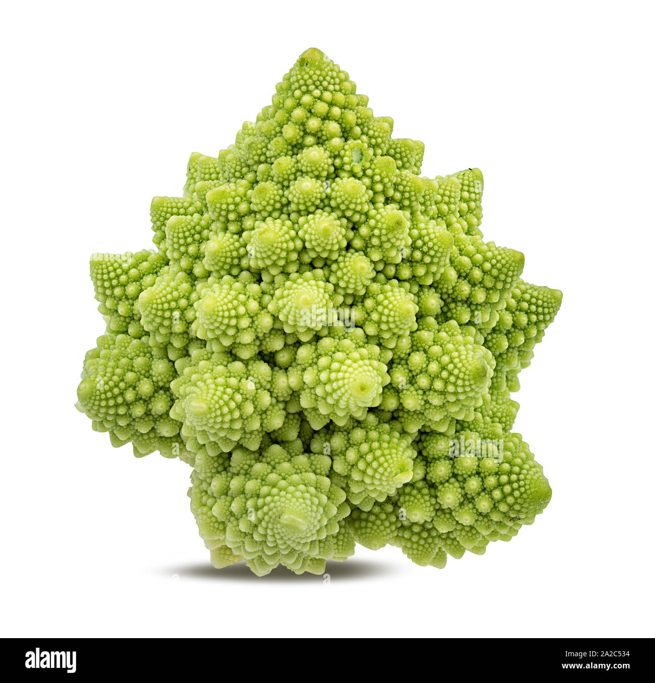 Roman cauliflower isolated on white background with clipping path Stock ...