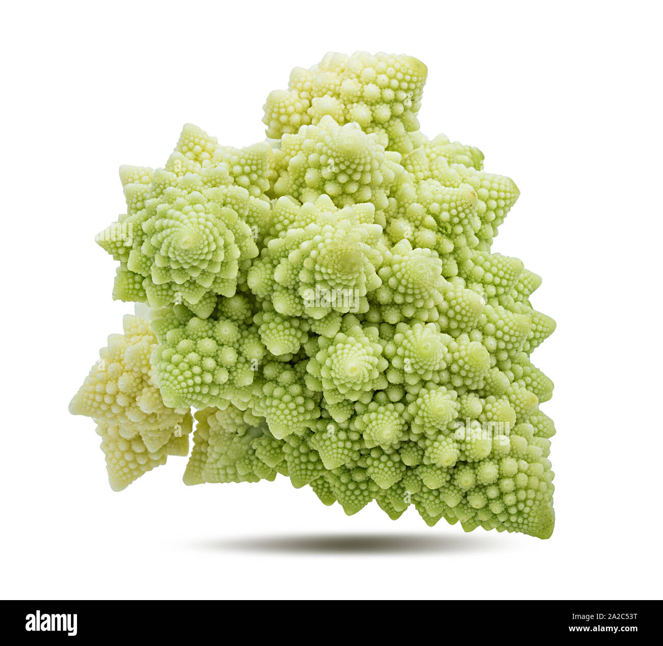 Roman cauliflower isolated on white background with clipping path Stock ...