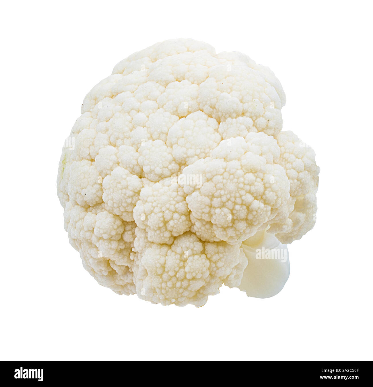 Cauliflower isolated on white background Stock Photo - Alamy