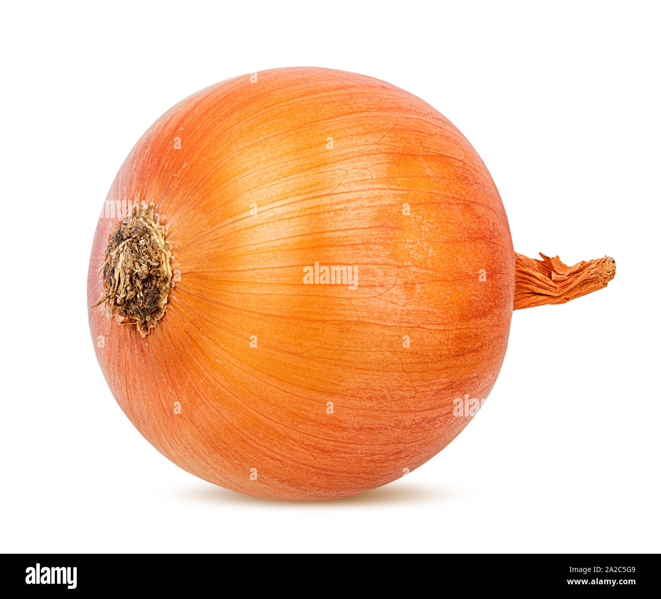 Onions isolated on white background Stock Photo - Alamy