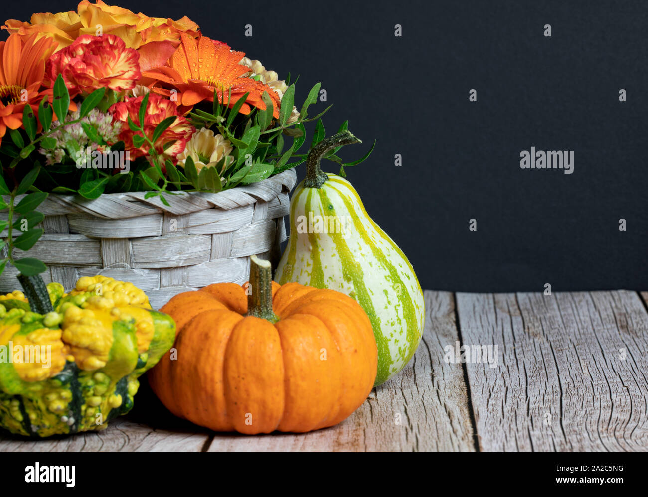 Mixed colour pumpkins hi-res stock photography and images - Alamy