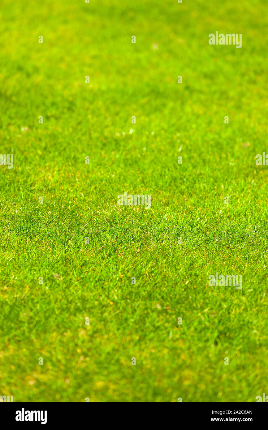 Well cut grass hi-res stock photography and images - Alamy