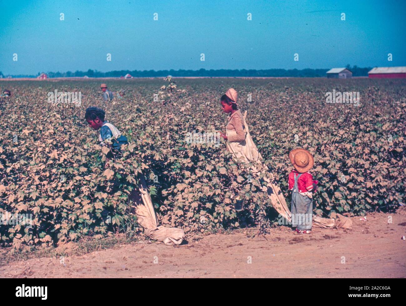 Great Depression Images In Color