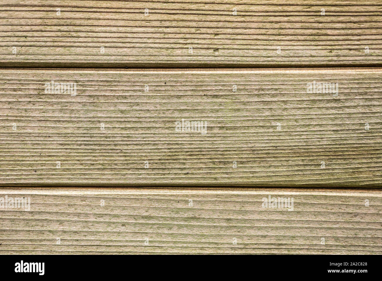 Wooden panel showing grain and texture Stock Photo - Alamy