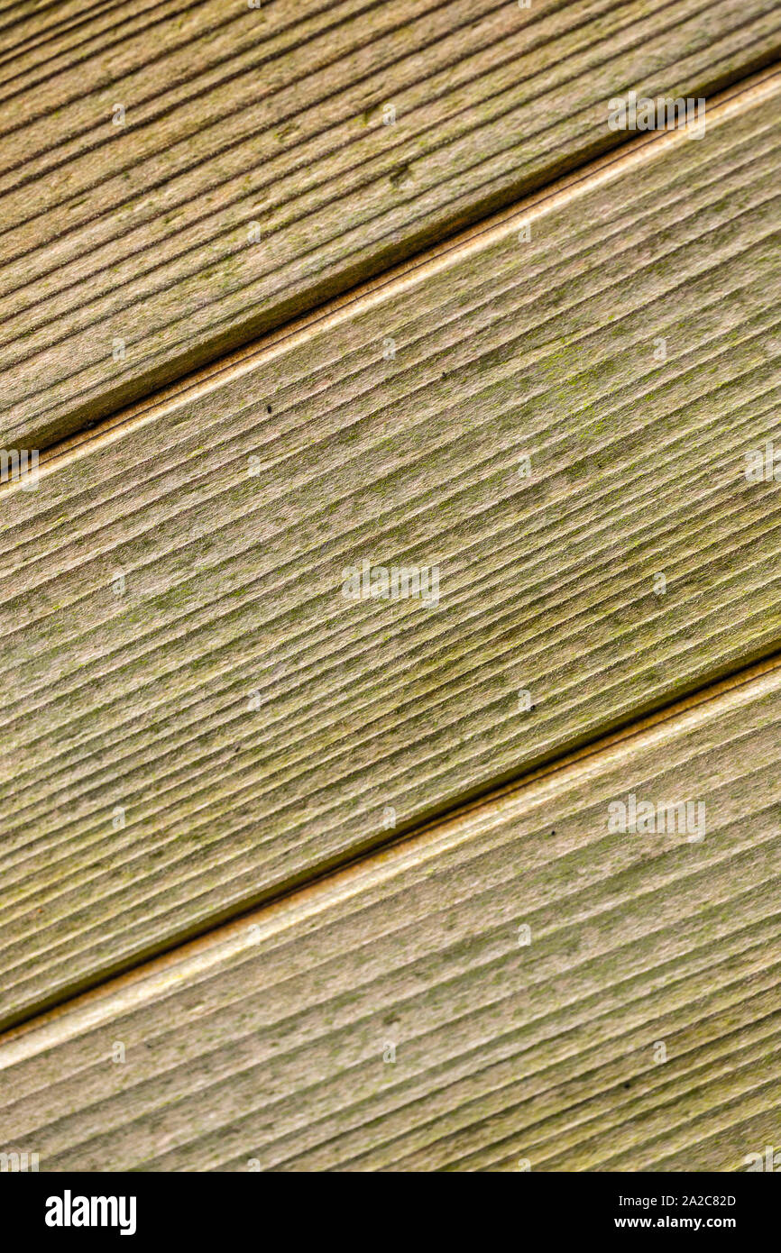 Wooden panel showing grain and texture Stock Photo - Alamy