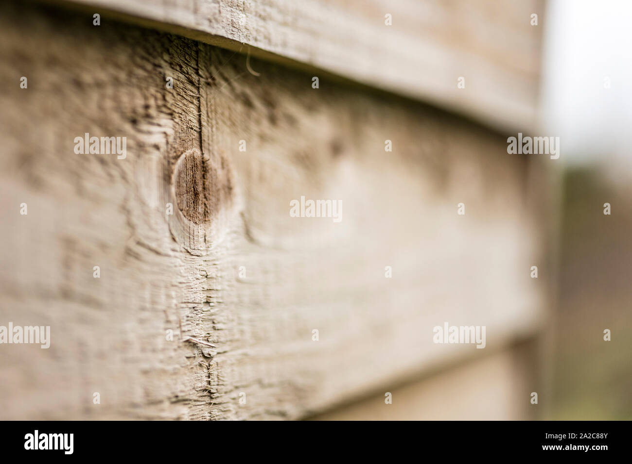 Wooden panel showing grain and texture Stock Photo - Alamy
