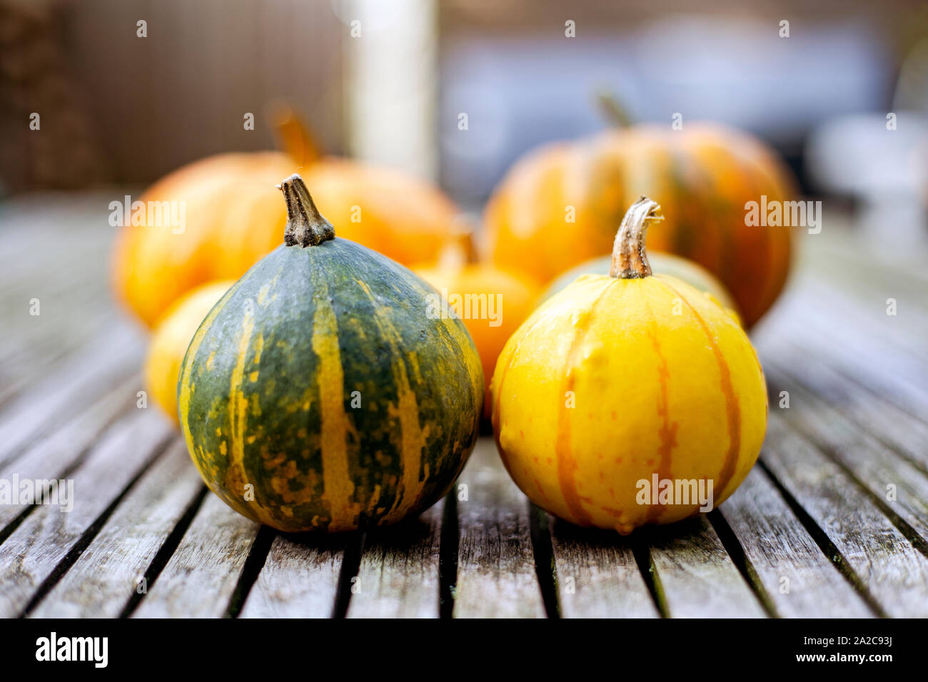 Autumn orange pumpkins on wooden board, rustic seasonal background ...