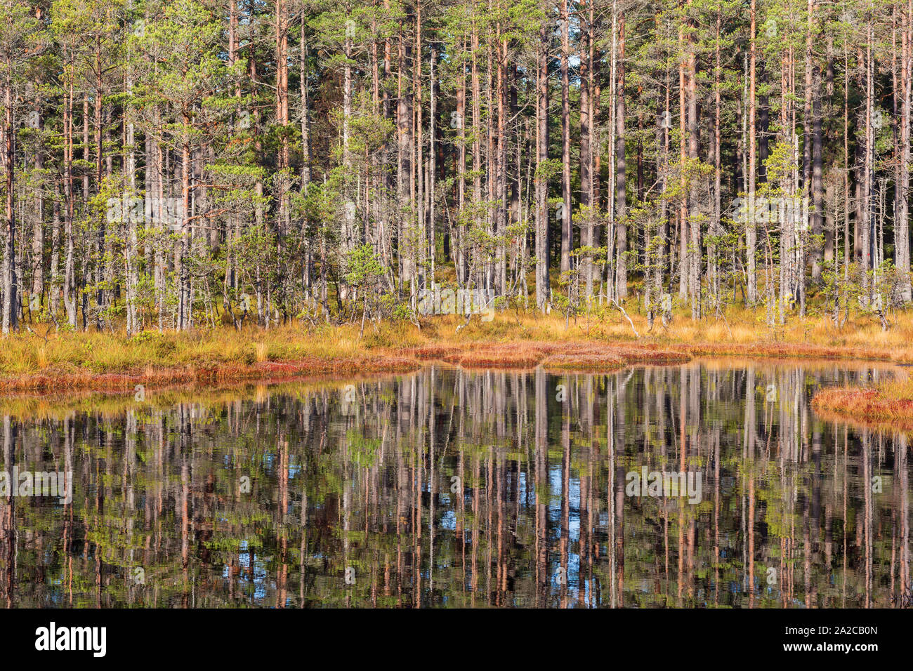 Reflections of natural scenery hi-res stock photography and images - Alamy