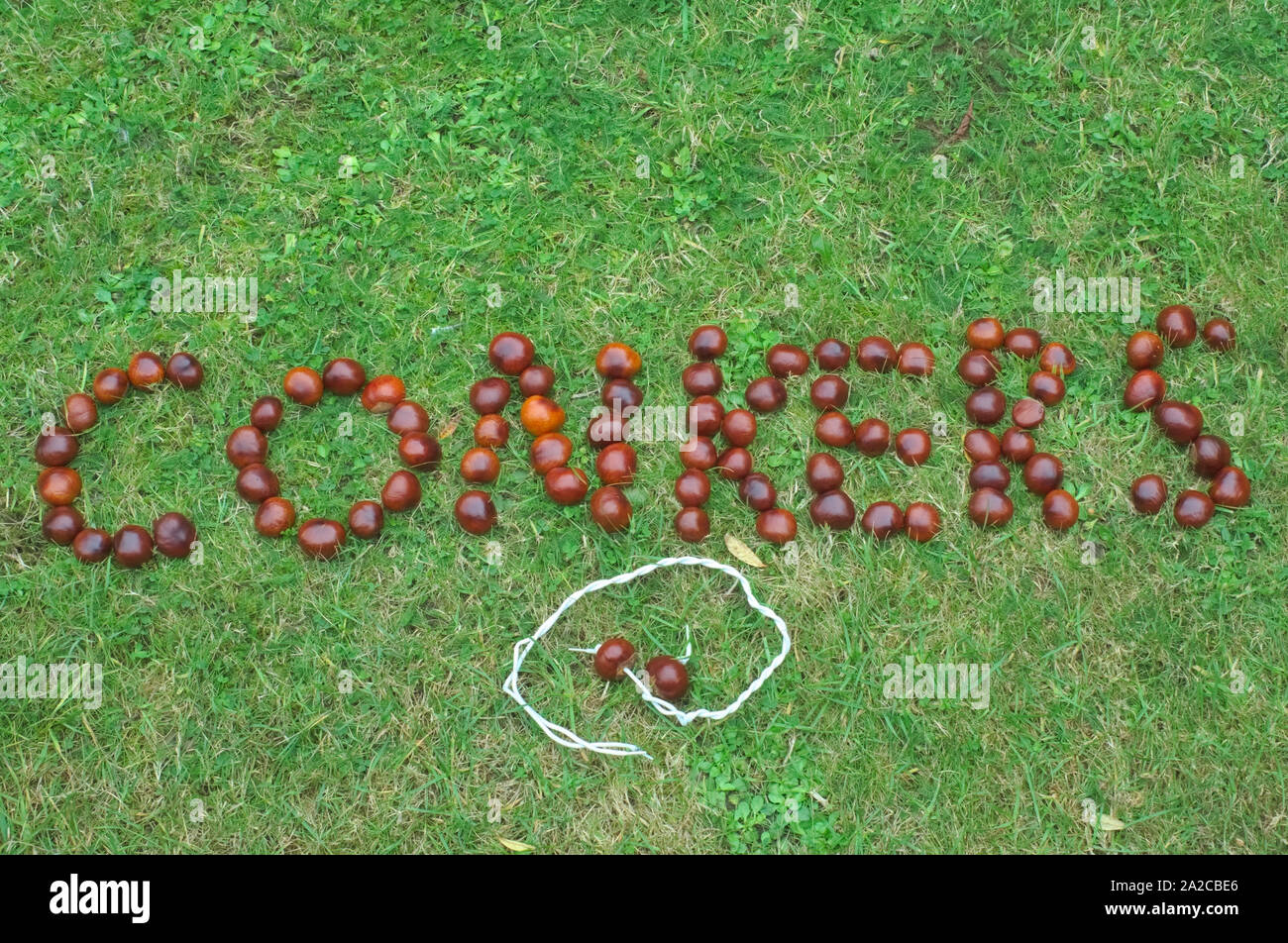 Conkers, Spelled Out on Grass with Strung Conkers in a Circle ...