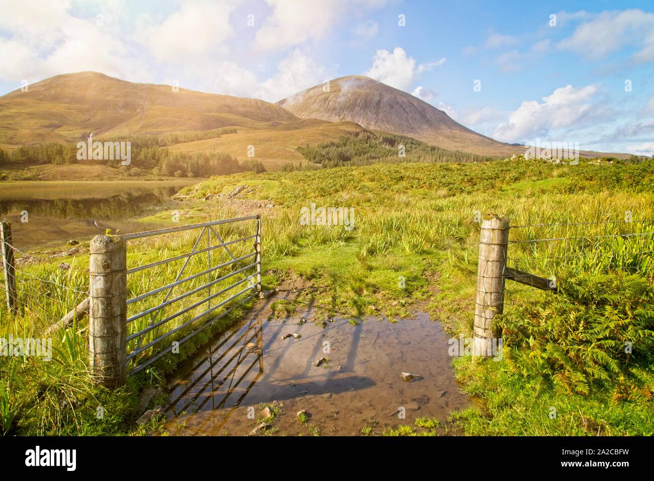 Pool Grass High Resolution Stock Photography and Images - Alamy