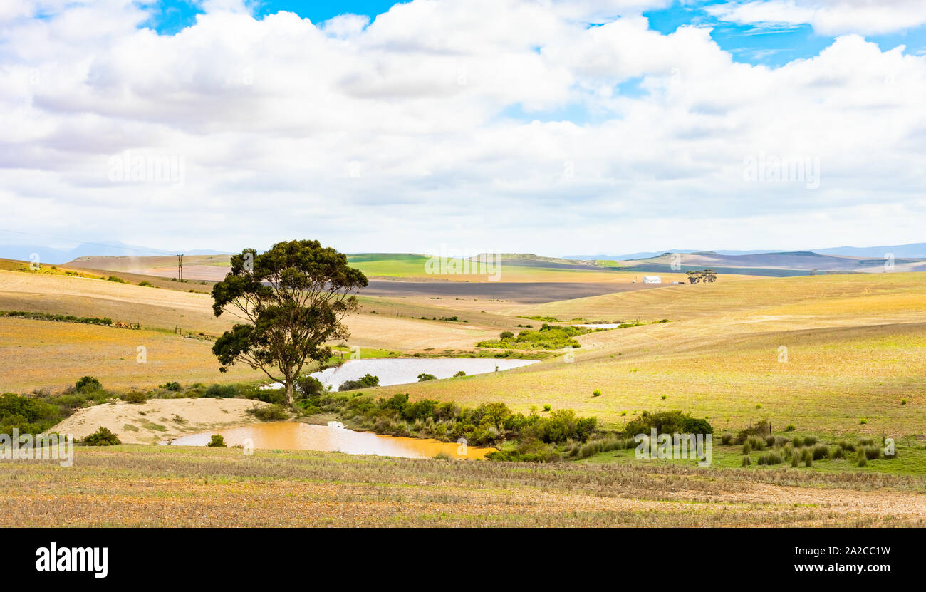 Rural Grassland Farming Area of the Karoo Semi-desert in South Africa ...