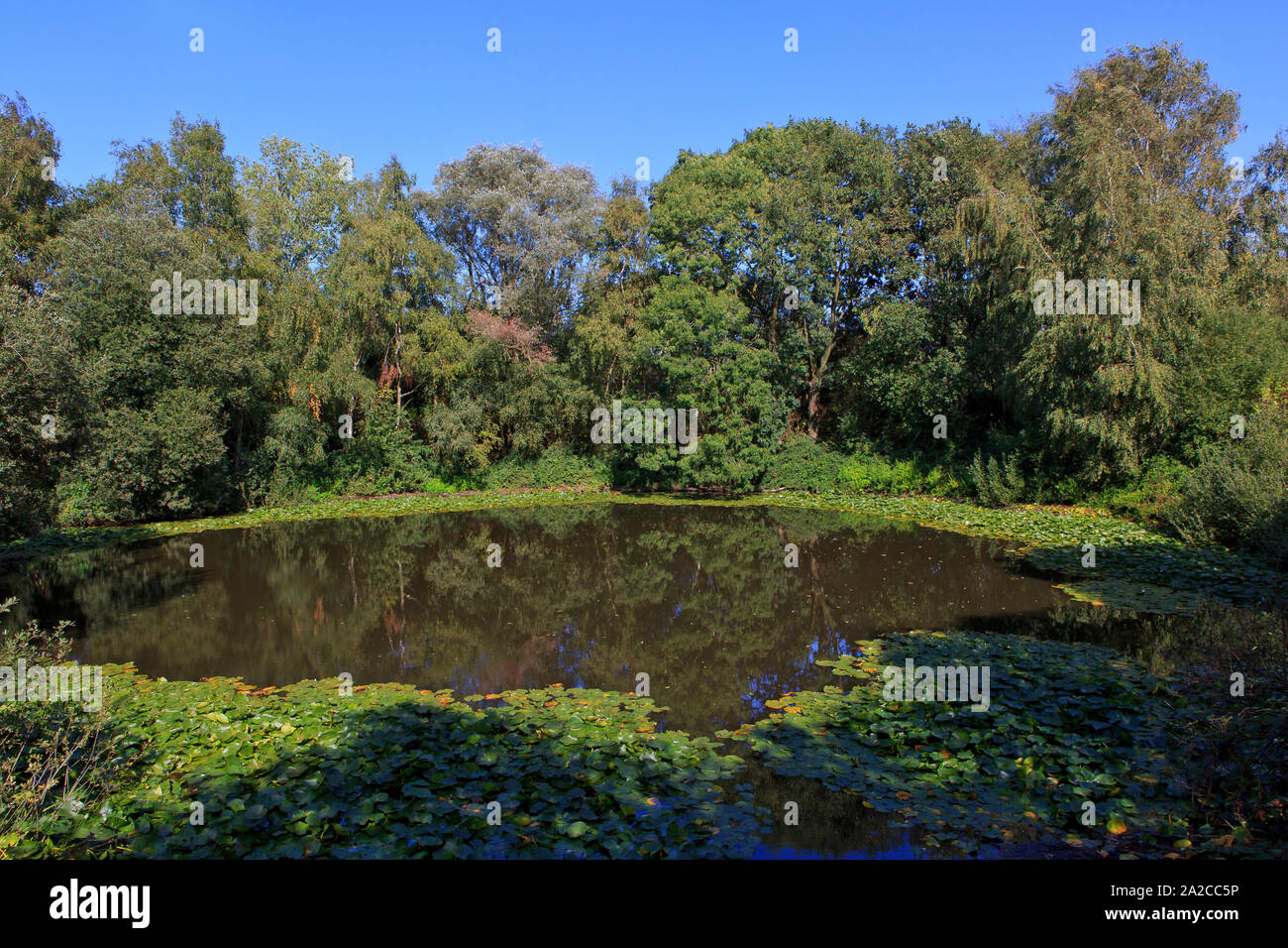 The Spanbroekmolen Crater (aka Pool of Peace aka Lone Tree Crater), a ...