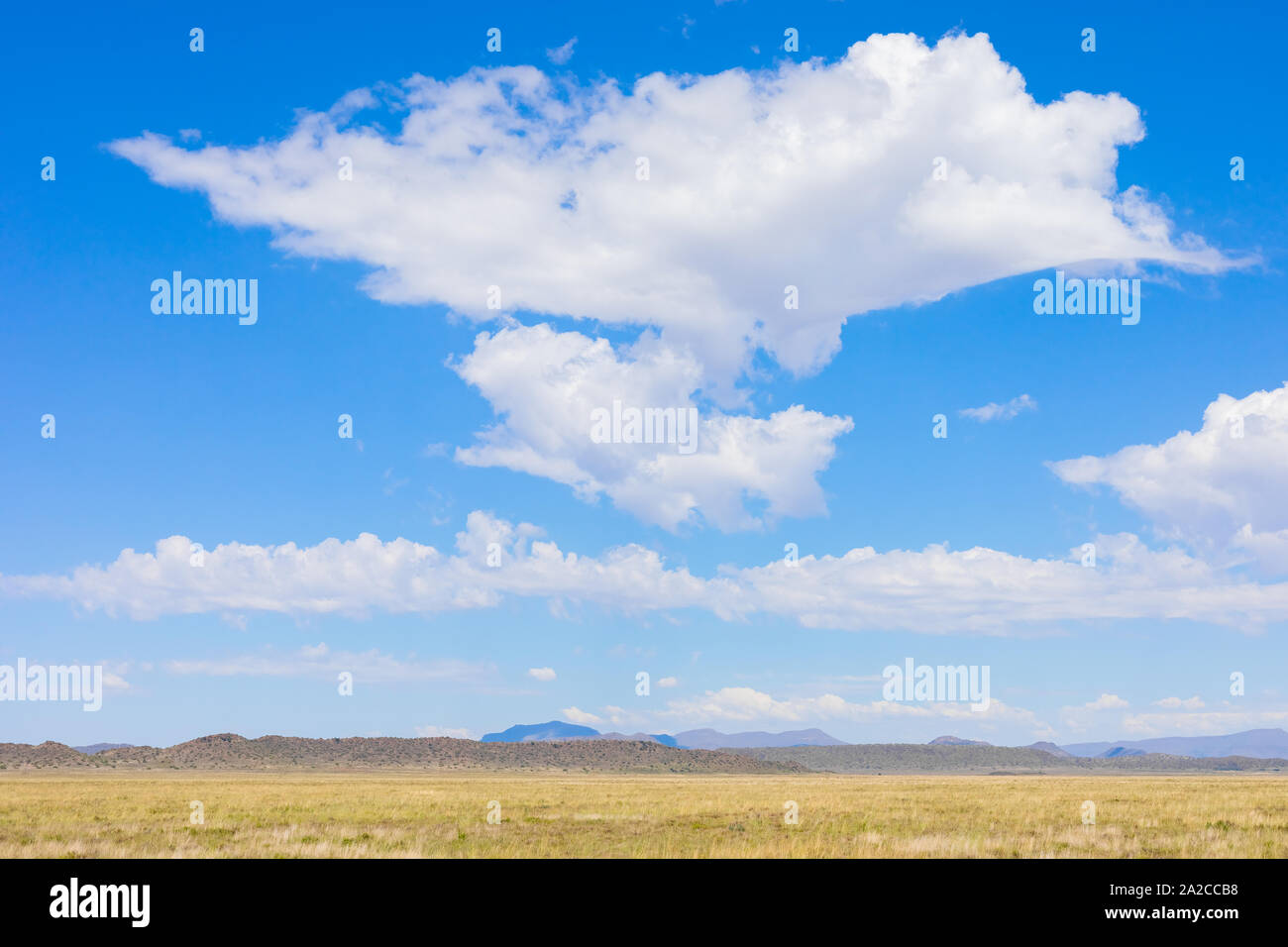Rural Grassland Farming Area of the Karoo Semi-desert in South Africa ...