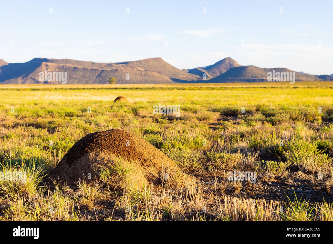Rural Grassland Farming Area of the Karoo Semi-desert in South Africa ...