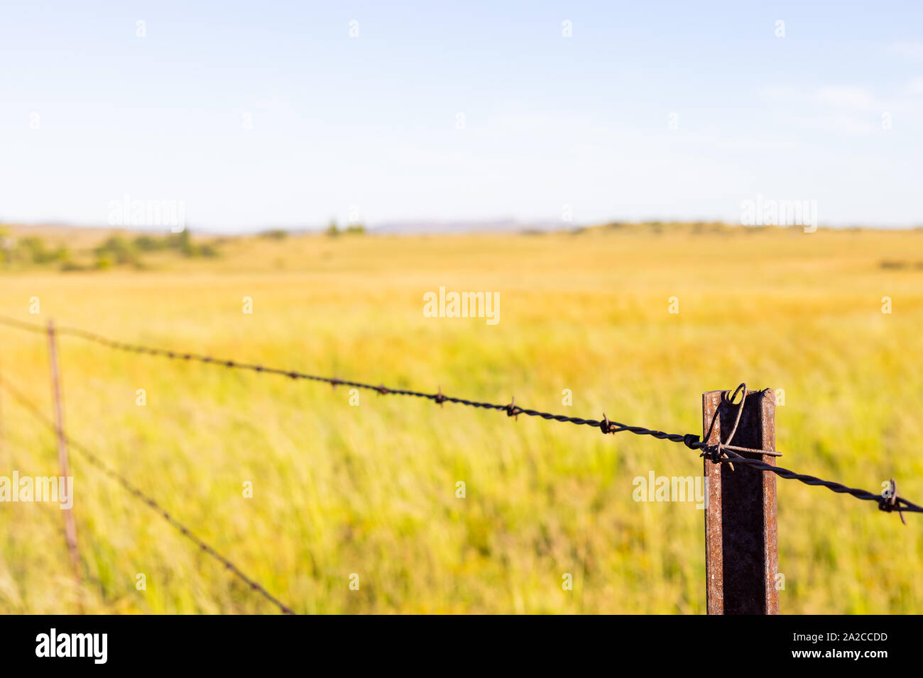 Rural Grassland Farming Area of the Karoo Semi-desert in South Africa ...